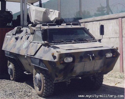 Oklopni transporter Hermelin TM-170