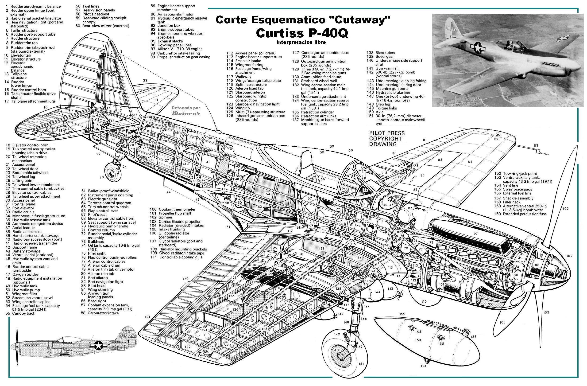 Cutaway Curtiss P 40Q bumble canopy :: Mycity-Military.com
