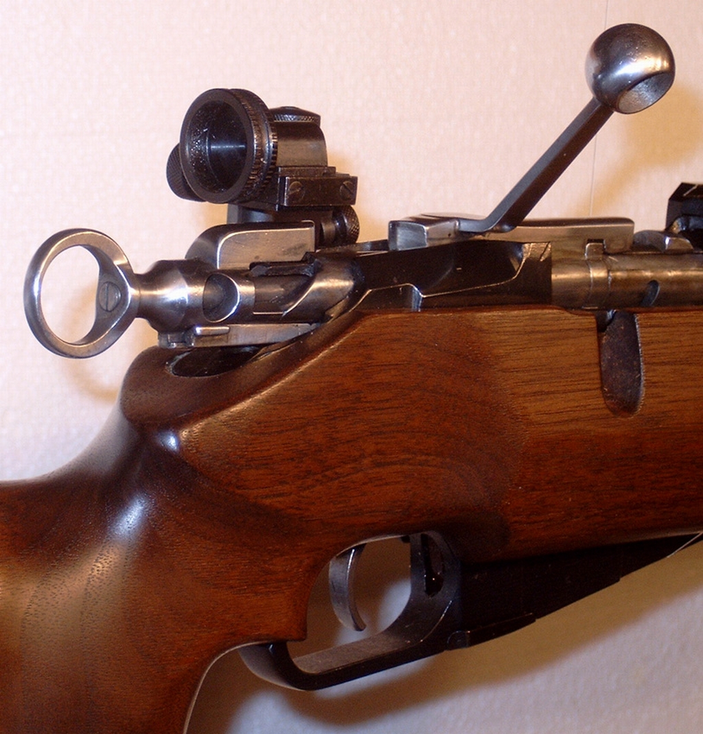 Izbor malokalibarske puške