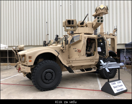 Raytheon Coyote Block 2/3