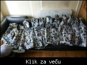 Karsta Kamuflaža/Karst Camouflage